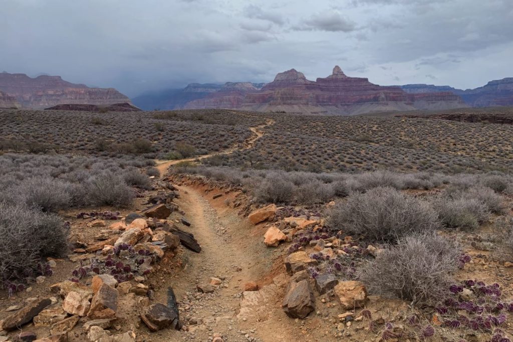 Plateau Point Trail (via Bright Angel Trail) - Grand Canyon Country